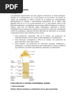 Clasificación Los Ángeles Esofagitis | PDF | Medicina CLINICA ...