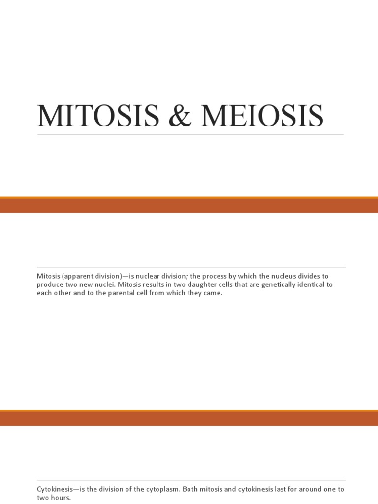 Mitosis Meiosis | PDF | Meiosis | Mitosis