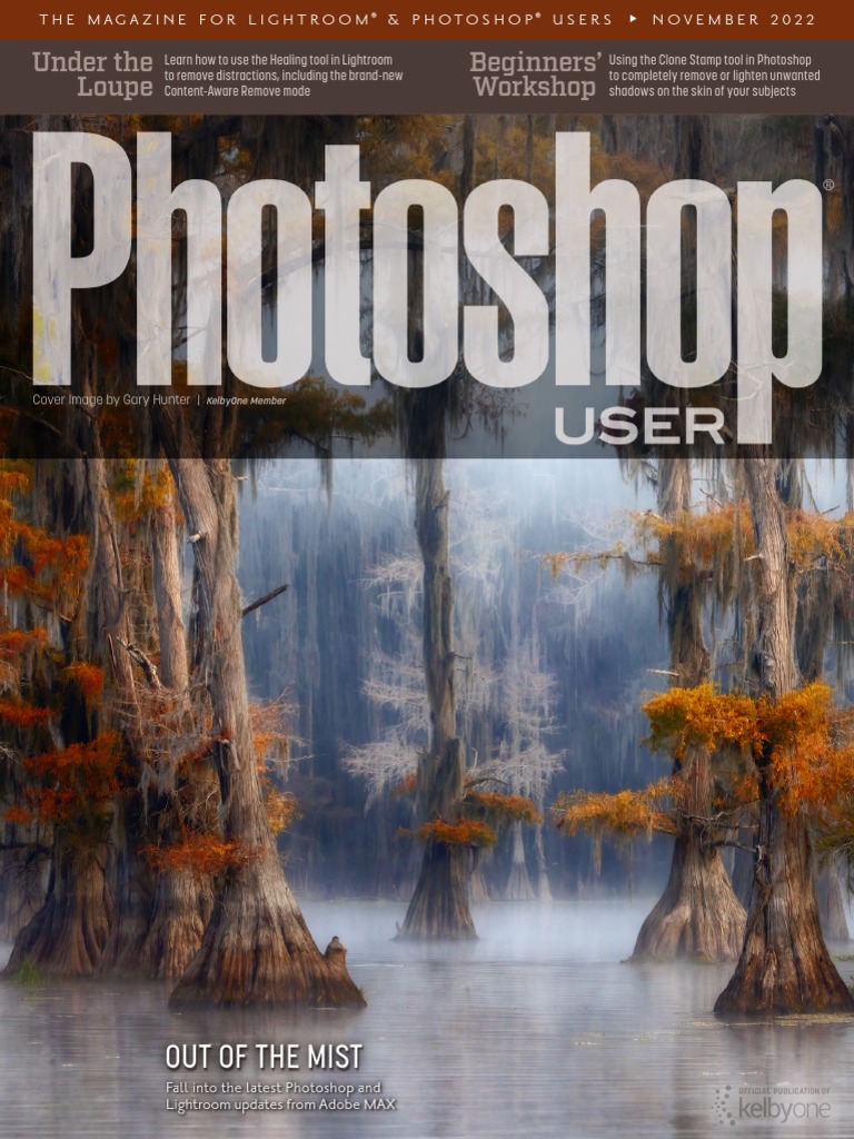Photoshop User USA - November, 2022 | PDF | Adobe Photoshop | Raw Image Format