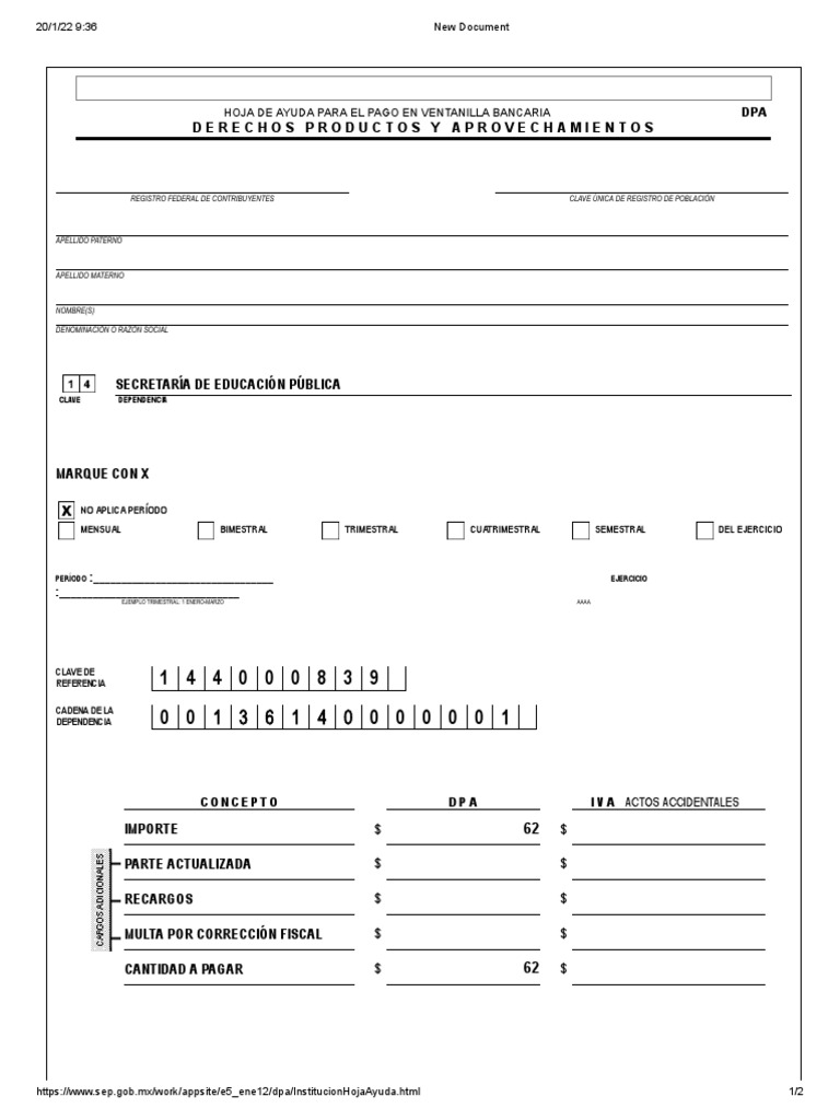 Formato Pago DGB 2022 | PDF