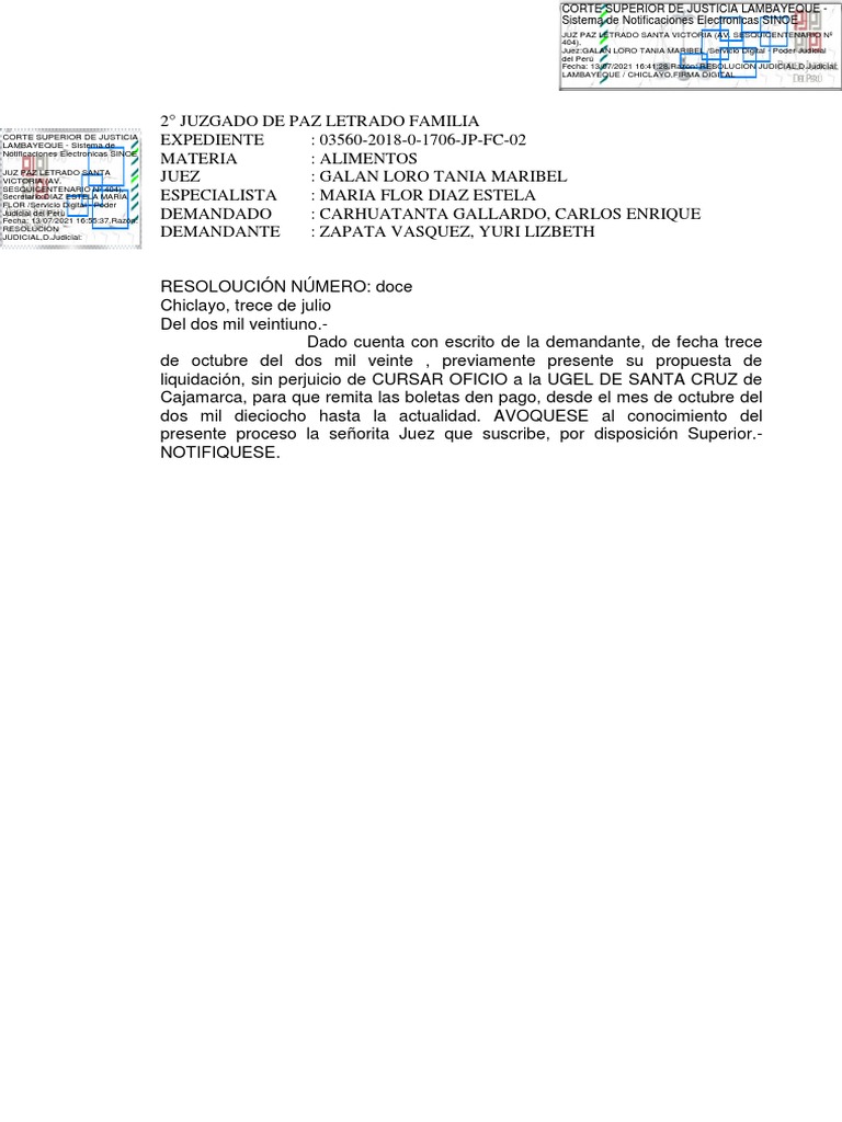 Exp. 03560-2018-0-1706-JP-FC-02 - Resoluci N - 66288-2021 | PDF | Ley constitucional ...