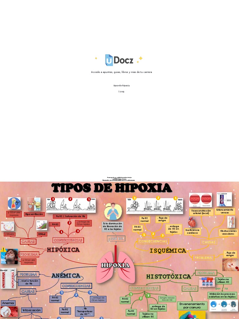 Tipos de Hipoxia 360360 Downloable 1349989 | PDF | Medicina ...