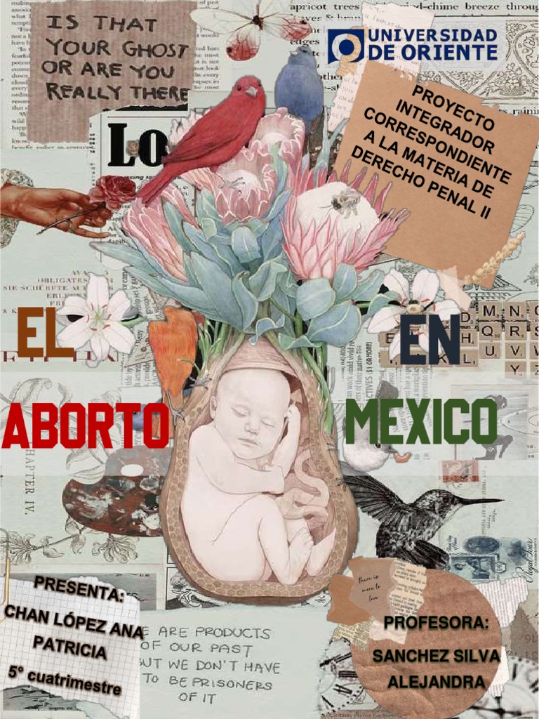 Aborto en Mexico | PDF | Aborto | Control de la natalidad