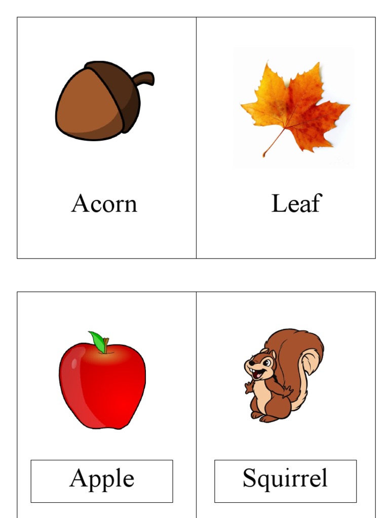 Autumn Flashcards | PDF