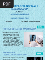 Ecografía del quiste de inclusión epidérmica | PDF | Piel | Ultrasonido ...