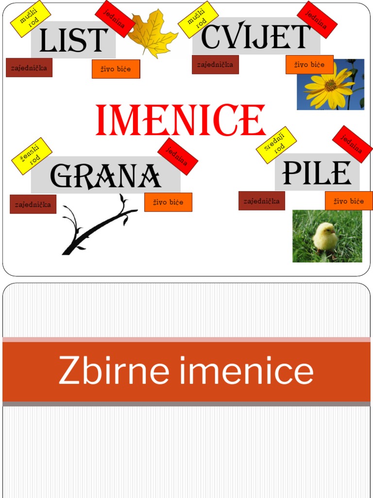 Zbirne Imenice | PDF
