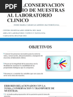 Rotulación y Identificación de Muestras | PDF | Histopatología ...