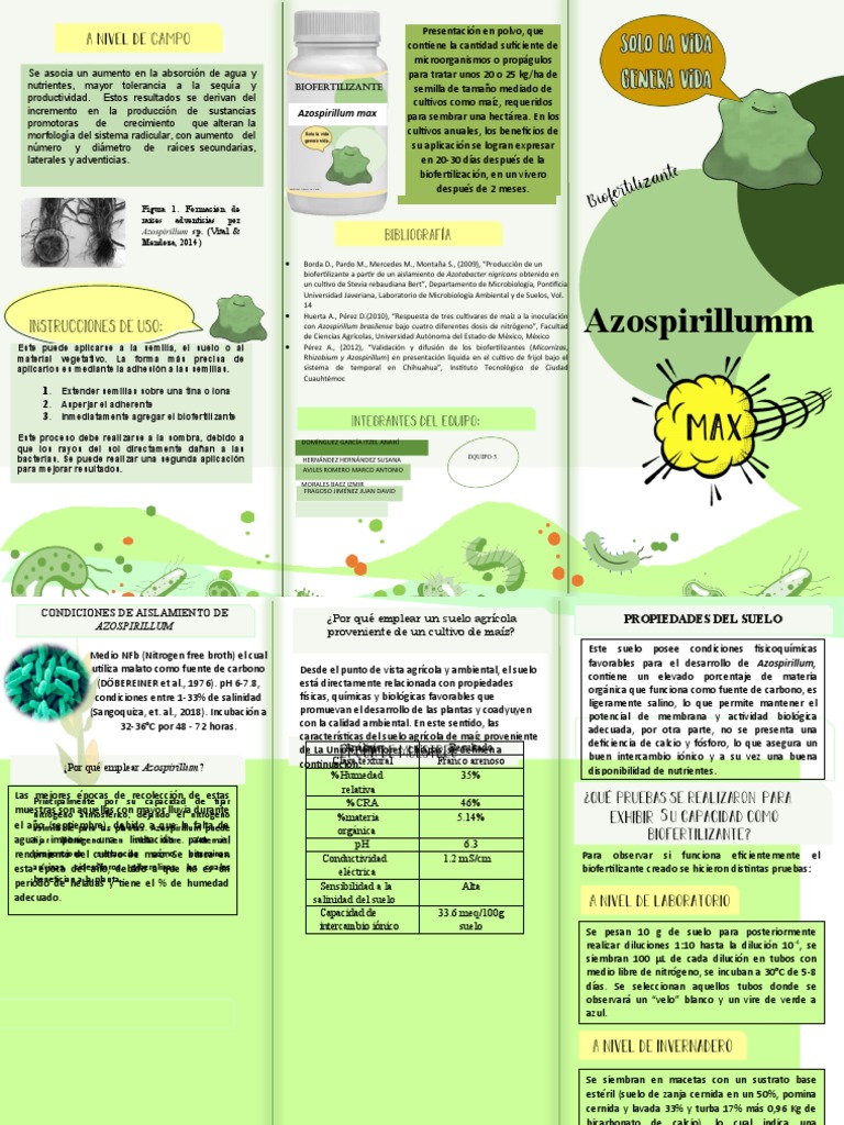 Triptico Biofertilizante 6QV1 Equipo 5 | PDF | Suelo | Agricultura