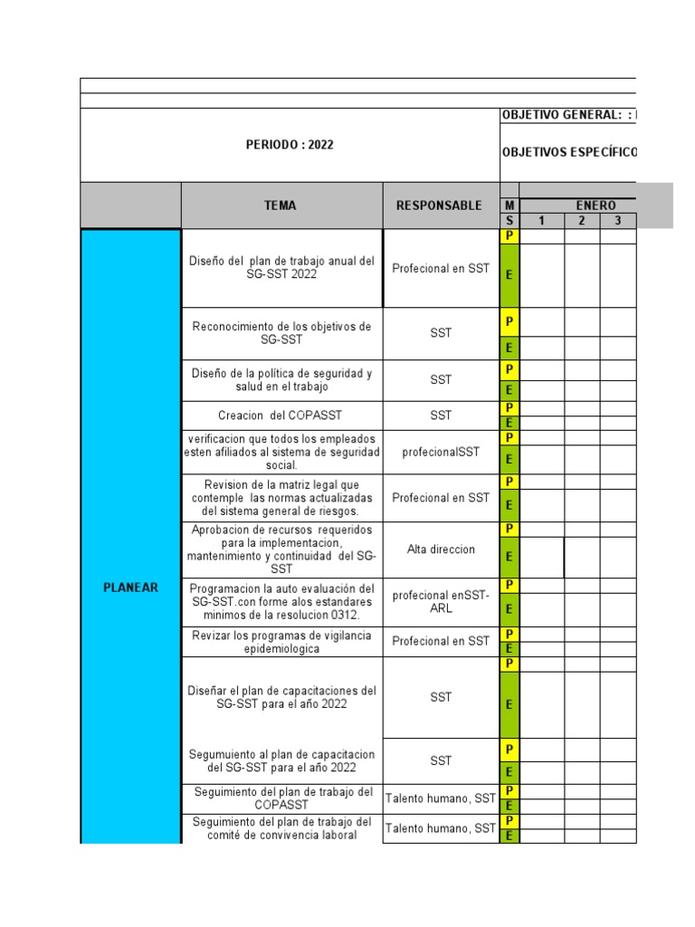 Plan de Seguridad y Salud en El Trabajo | PDF | Auditoría