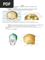 Forames do Crânio e Suas Estruturas | PDF | Anatomia humana | Anatomia dos primatas