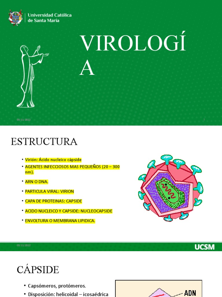 Virologia | PDF | Virus | Organismos