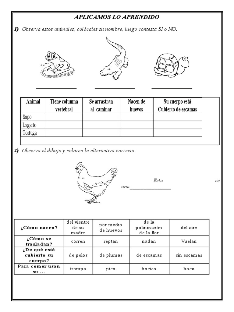 Los Animales y Su Clasificacion para Segundo de Primaria | PDF