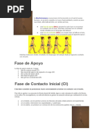 Ejercicios Pendulares de Codman | PDF | Salud y bienestar