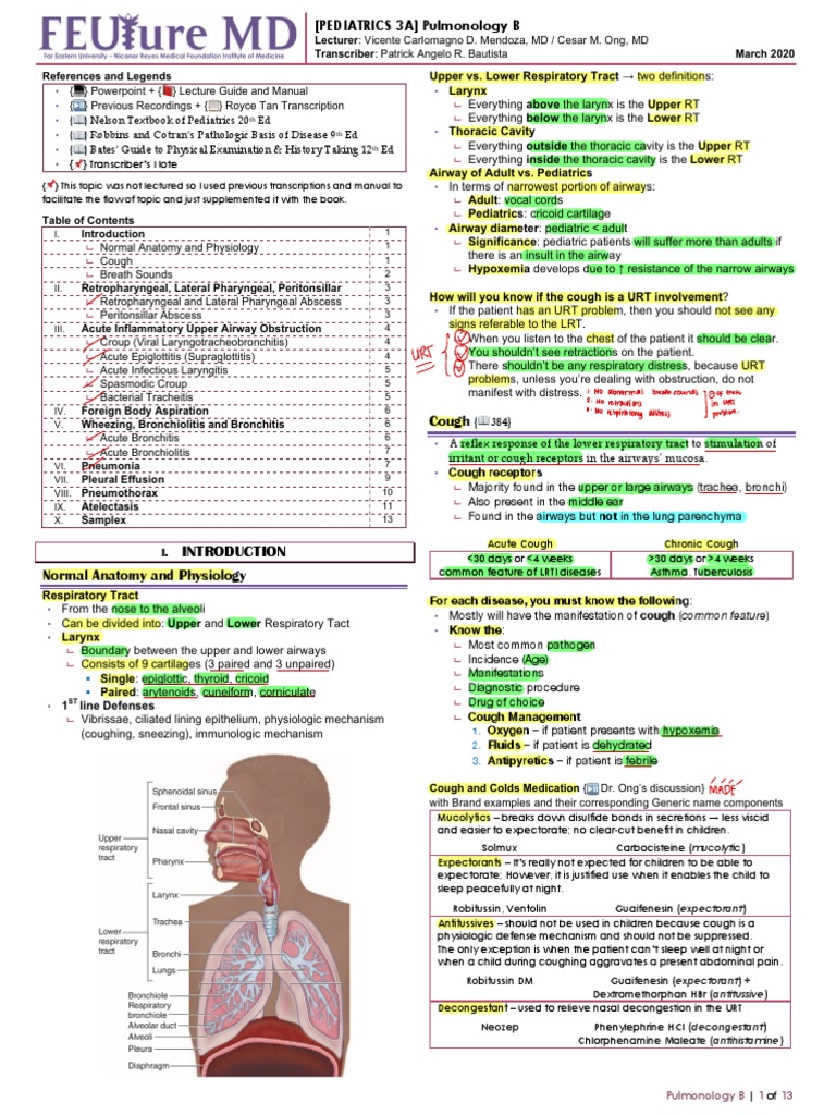 LRTI | PDF | Respiratory Tract | Respiratory System