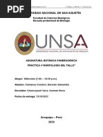 Ramificación Monopodial y Simpodial | PDF | Tallo de la planta | Hoja