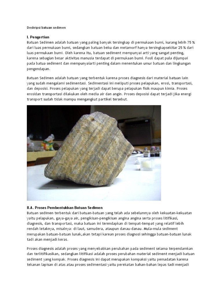 Deskripsi Batuan Sedimen | PDF | Ilmu Sosial | Sains & Matematika