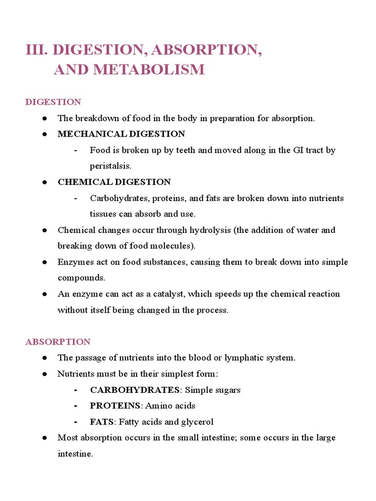 Digestion, Absorption, and Metabolism | Download Free PDF | Digestion ...