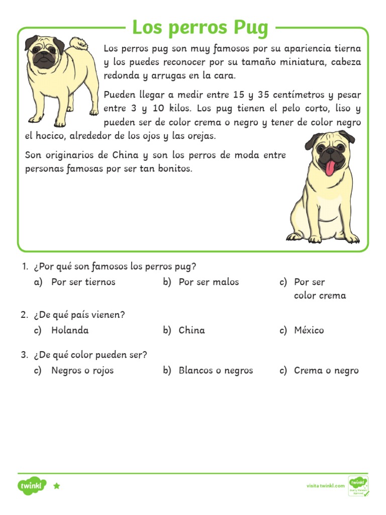 Comprensión Lectora Perros Pug TEXTO INSTRUCTIVOS | PDF | Razas ...