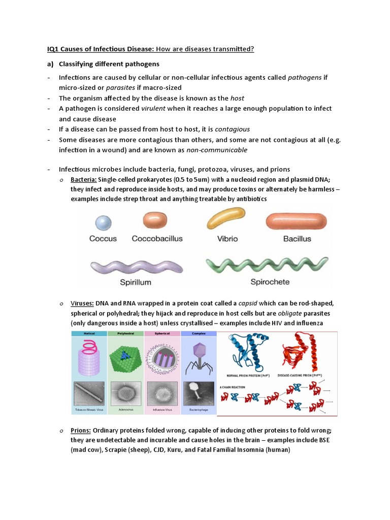 Module 7 - Infectious Disease Notes | PDF | Immune System | Infection