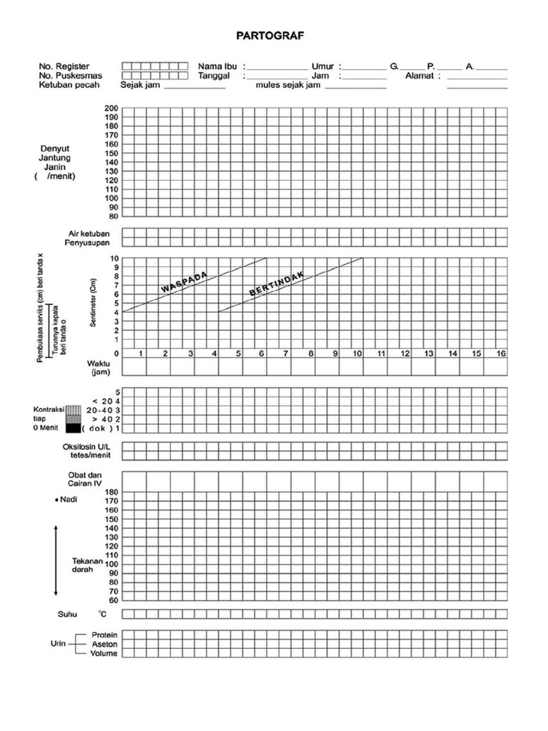 Patograf | PDF