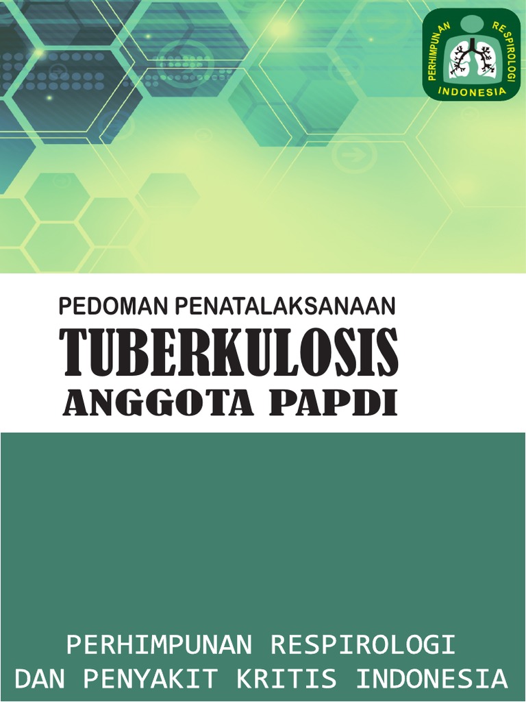 Buku Pedoman Penatalaksanaan TB Papdi | PDF
