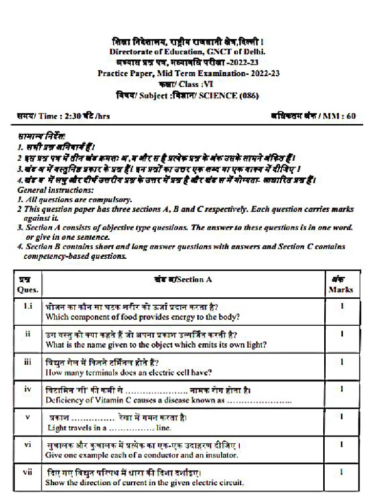 Class 6th DOE Practice Paper With Solutions, by Shelendra Kumar | PDF