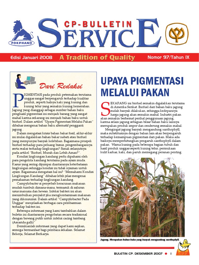 Buletin Service | PDF