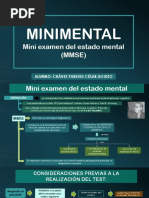 Minimental (MMSE Abreviado) | PDF