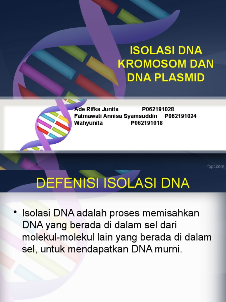 Isolasi Dna | PDF