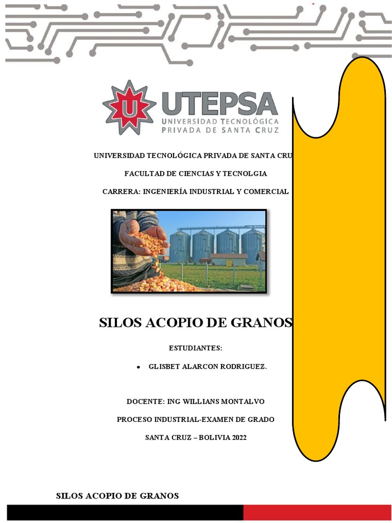 Silos Acopio de Granos | PDF | Cereales | Agricultura