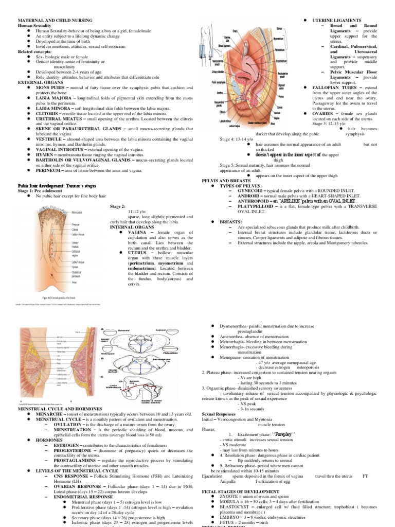 MCN RLE Notes | PDF | Menstrual Cycle | Childbirth MCN RLE Notes | PDF | Menstrual Cycle | Childbirth