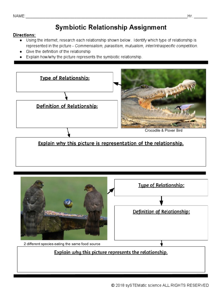 Jacob Gutierrez - Worksheet Symbiotic Relationships | PDF | Games ...