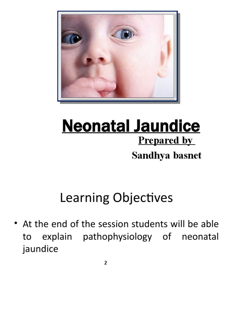 Neonatal Jaundice | PDF