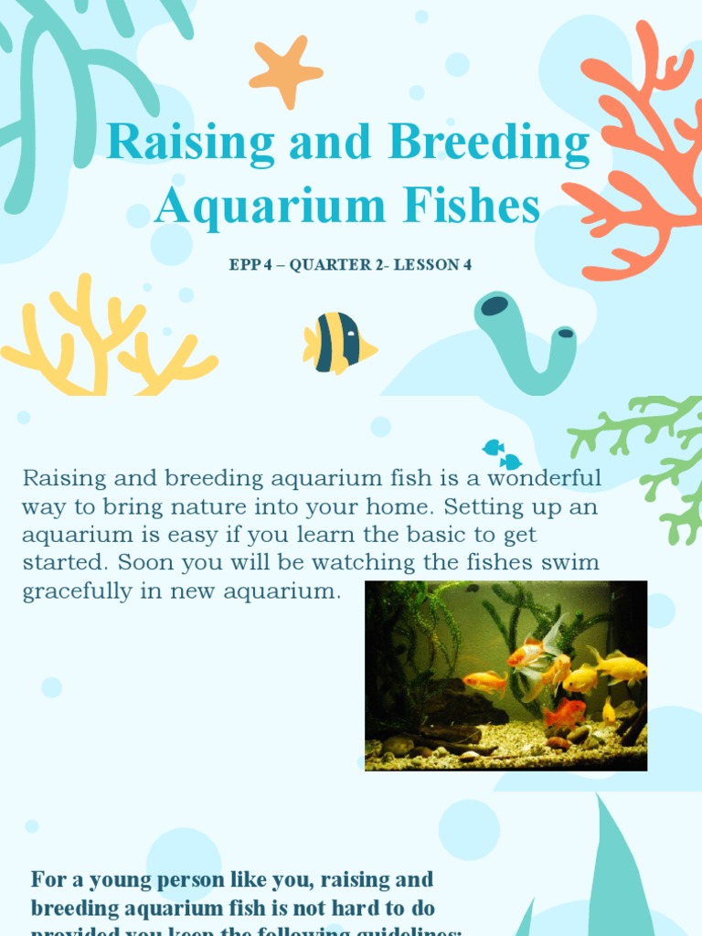 Raising and Breeding Aquarium Fishes: Epp 4 - Quarter 2-Lesson 4 | Download Free PDF | Aquarium ...
