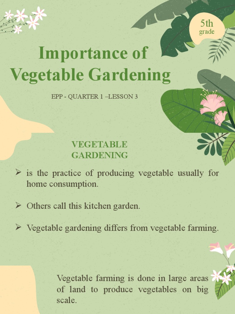 Importance of Vegetable Gardening: Grade | PDF | Compost | Sowing