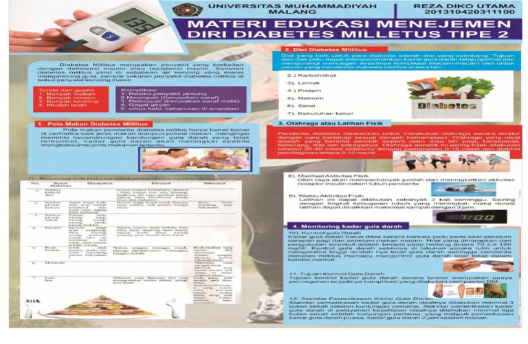 Leaflet Edukasi Manajemen Diit DM | PDF
