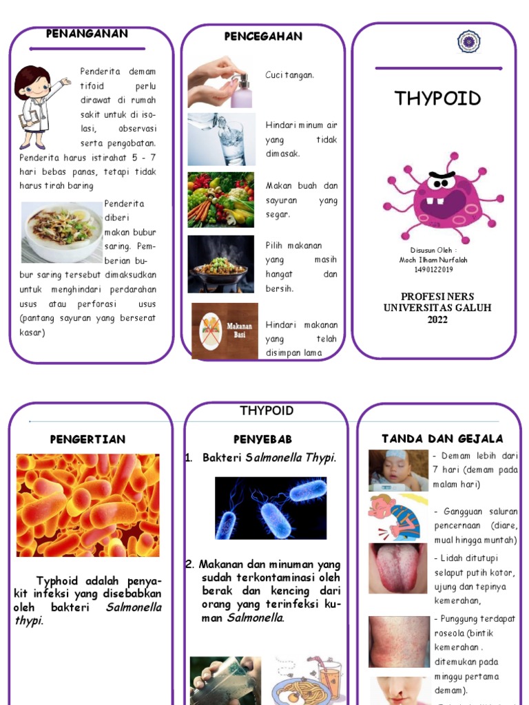 Leaflet Thypoid | PDF