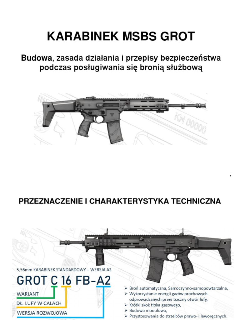 Karabinek Msbs Grot: Budowa, Zasada Działania I Przepisy Bezpieczeństwa ...