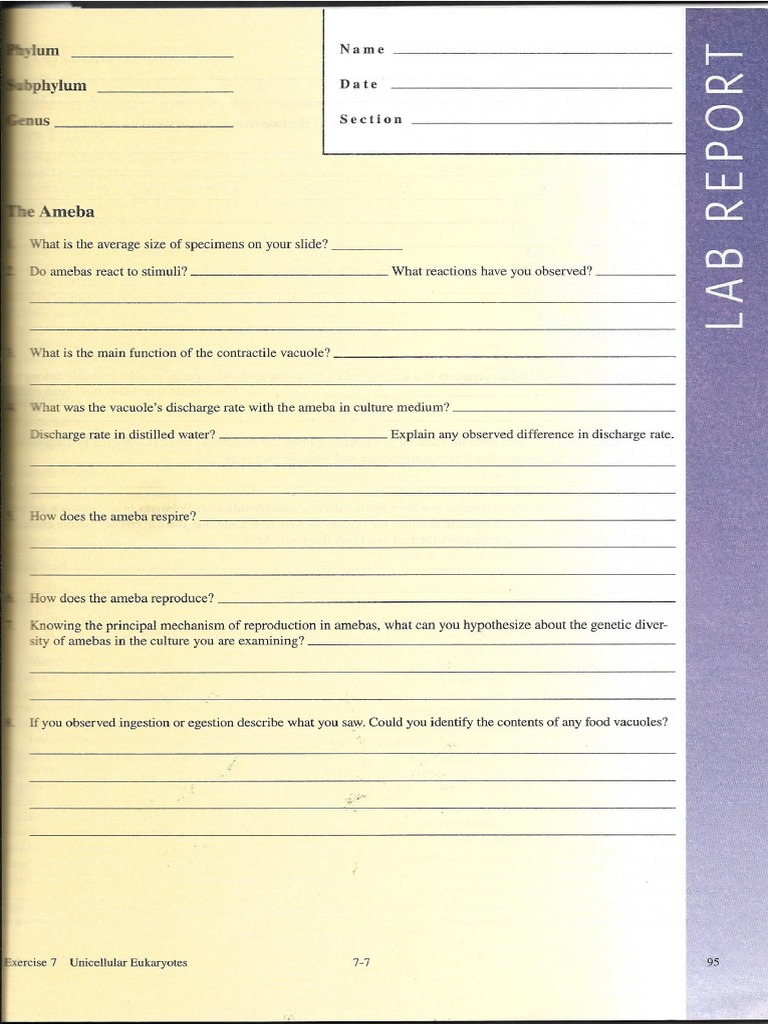 (Zoology) Sept12 Exercise 1 Ameba | PDF