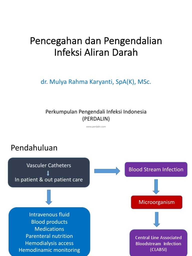 PPI BUNDLES IAD Dan Phlebitis (Dr. Karyanti) | PDF