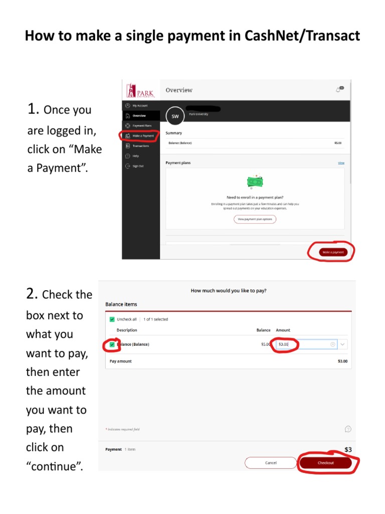 How To Make A Single CashNet Payment | PDF