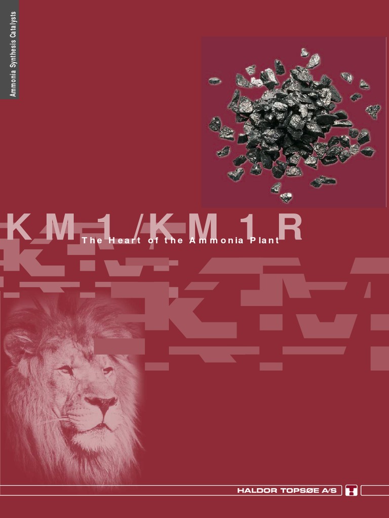 KM1/KM1R: The Heart of The Ammonia Plant | PDF | Catalysis | Ammonia