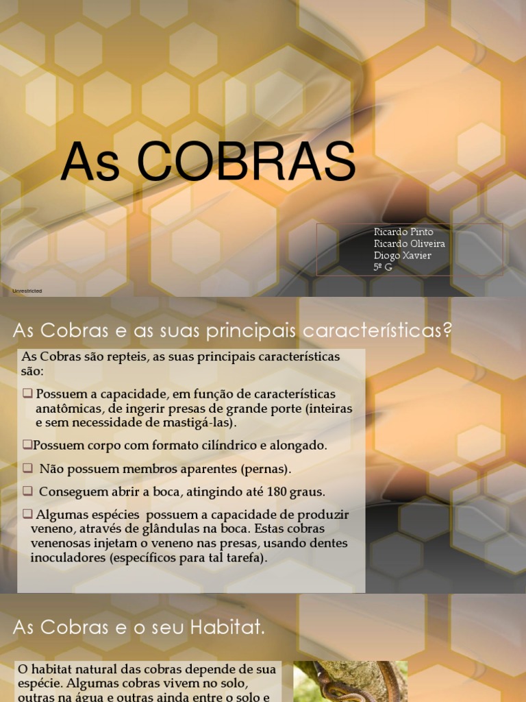 Cobras | PDF | Serpente