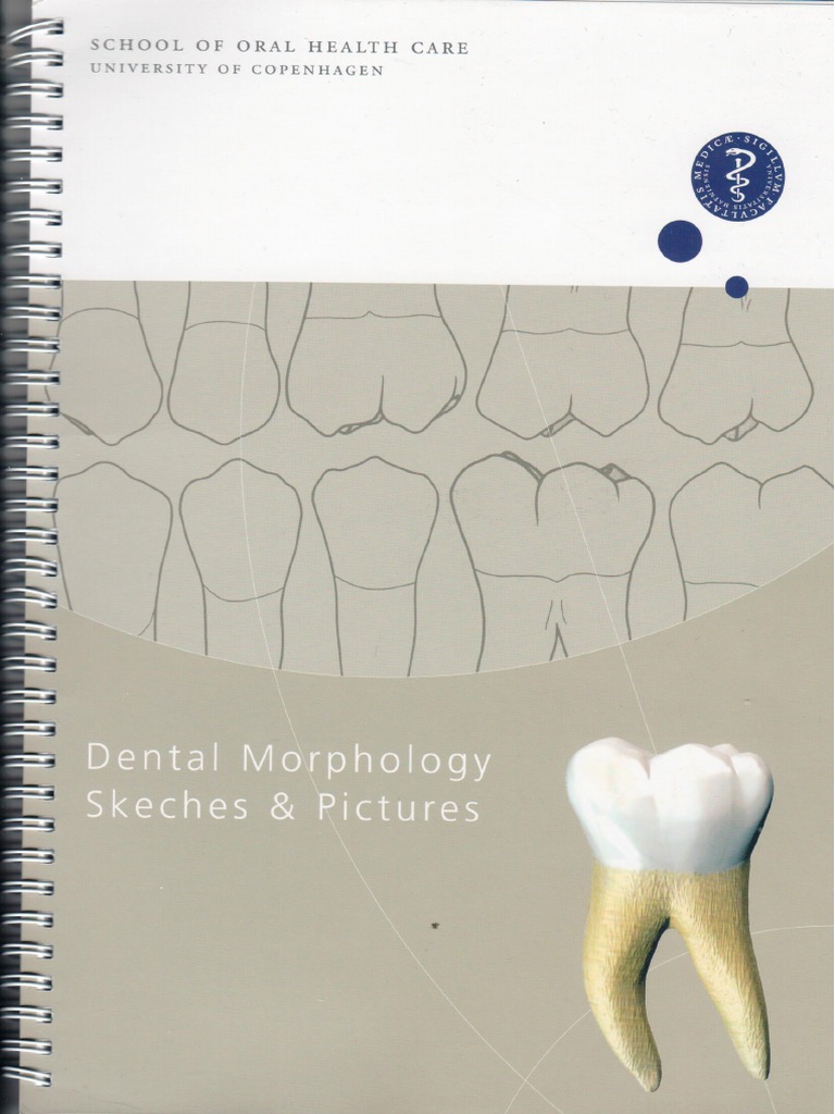 Dental Morphology 2010 | PDF