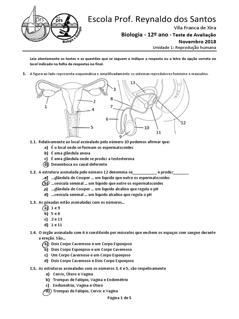 Teste de Avaliação sobre Reprodução Humana abordando os Sistemas ...