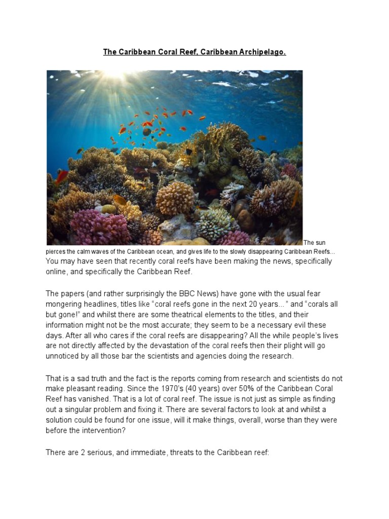 Coral Reef Case Study | PDF | Coral Reef | Invasive Species