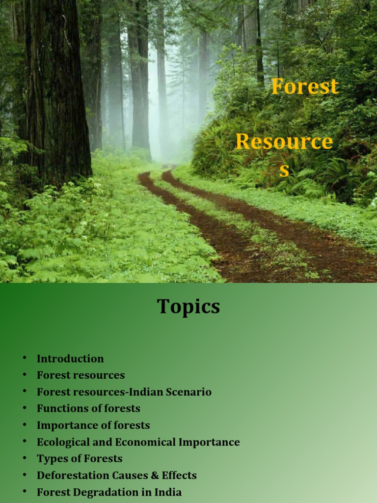 Importance and Functions of Forests in India | PDF | Forests ...