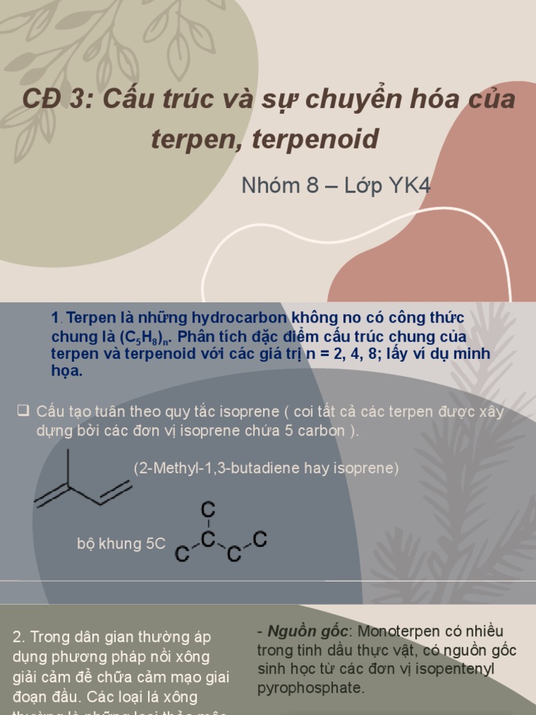 CĐ 3: Cấu trúc và sự chuyển hóa của terpen, terpenoid: Nhóm 8 - Lớp YK4 | PDF