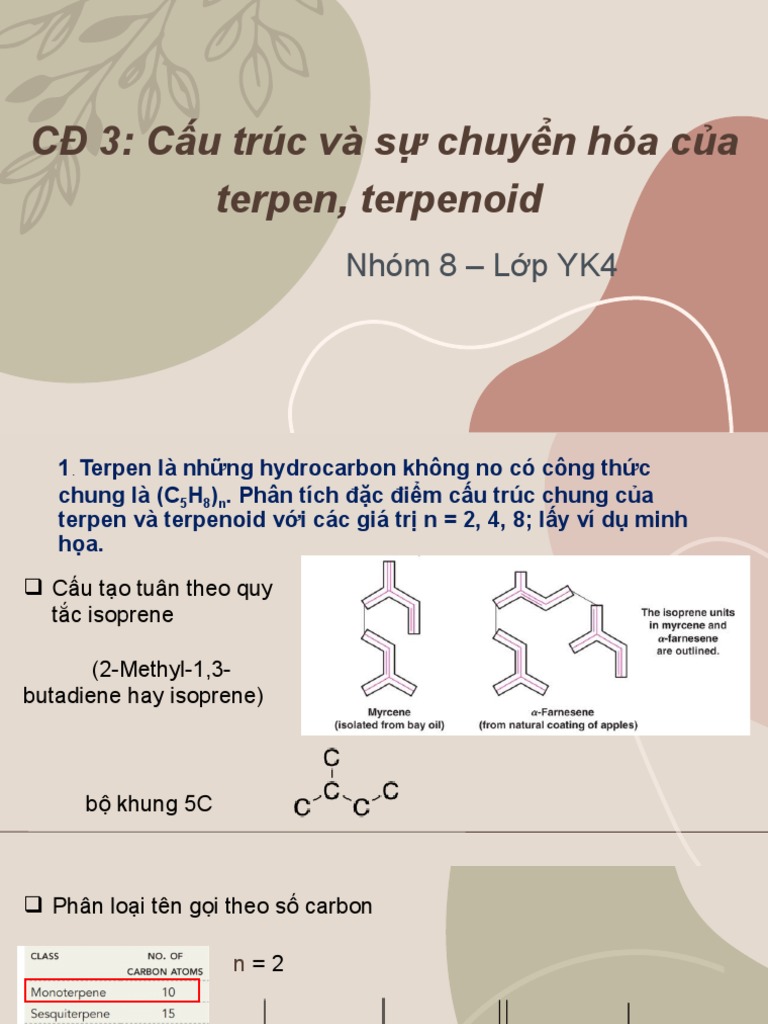 CĐ 3: Cấu trúc và sự chuyển hóa của terpen, terpenoid: Nhóm 8 - Lớp YK4 | PDF
