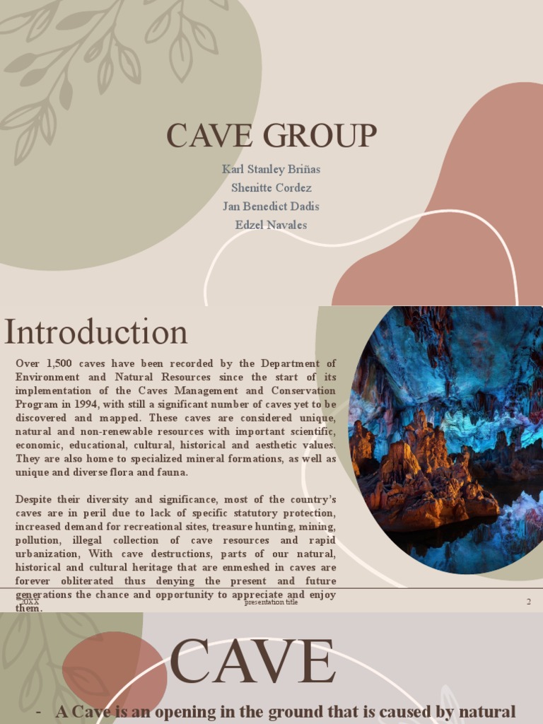 CAVE | PDF | Cave | Ecosystem